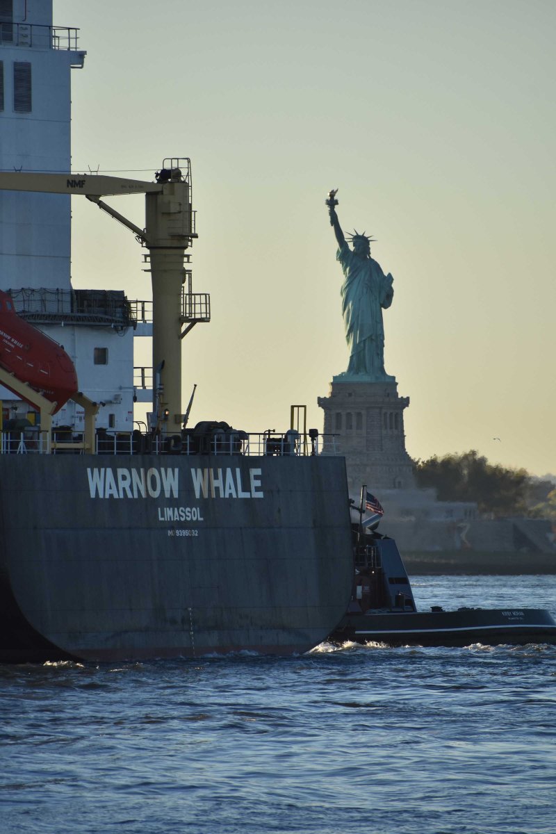 NYC Harbor – Red Hook Pier – Adam Achrati